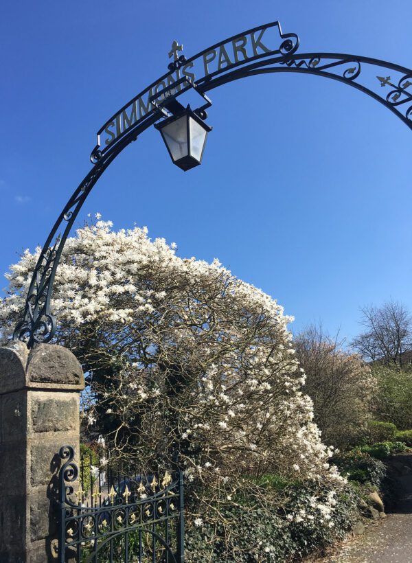 Simmons Park - Visit Okehampton